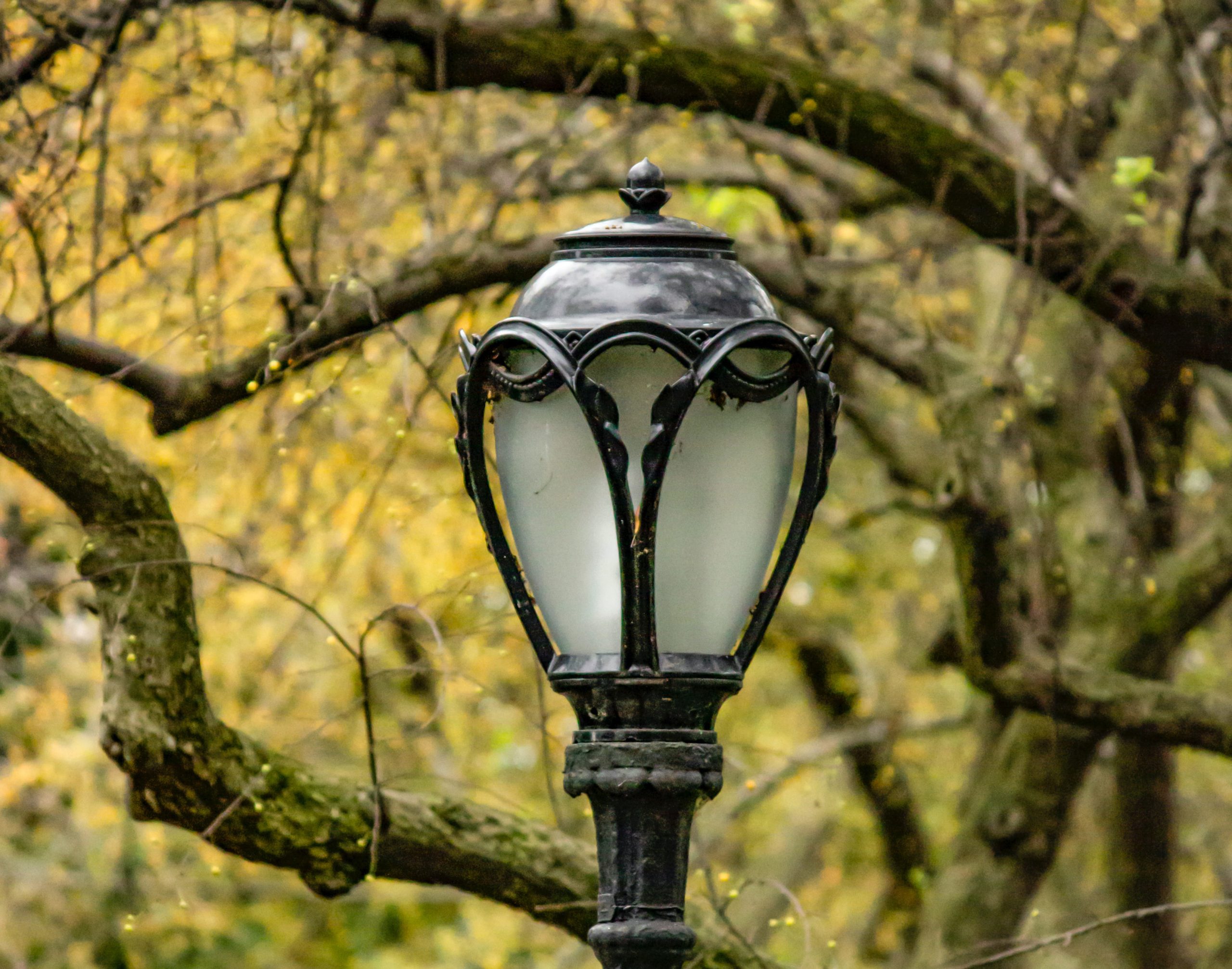 New York City's Best Visitor Hacks - GoVisit.Guide