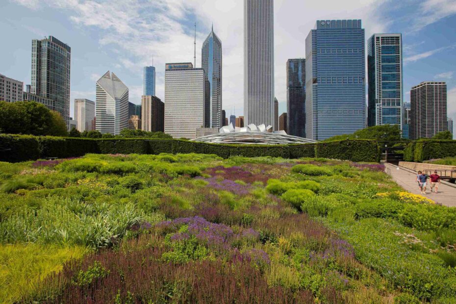 Your Essential Guide to Millennium Park Chicago - GoVisit.Guide